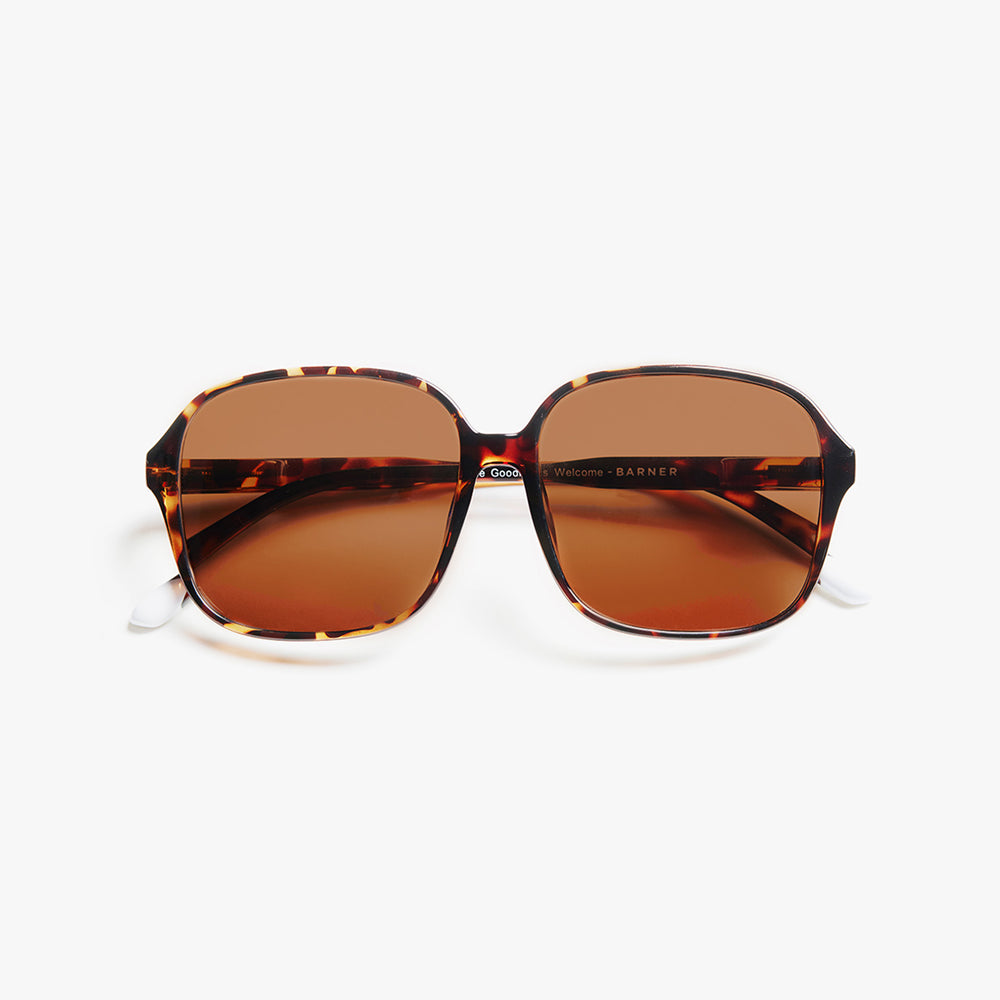 משקפי שמש Pascal Tortoise – SOHO. 100% Design Shop